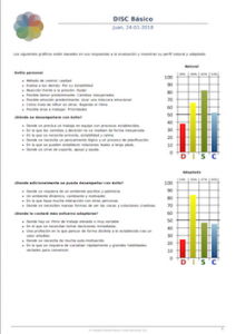 DISC -Talent SolutionDISC Talent Solutions